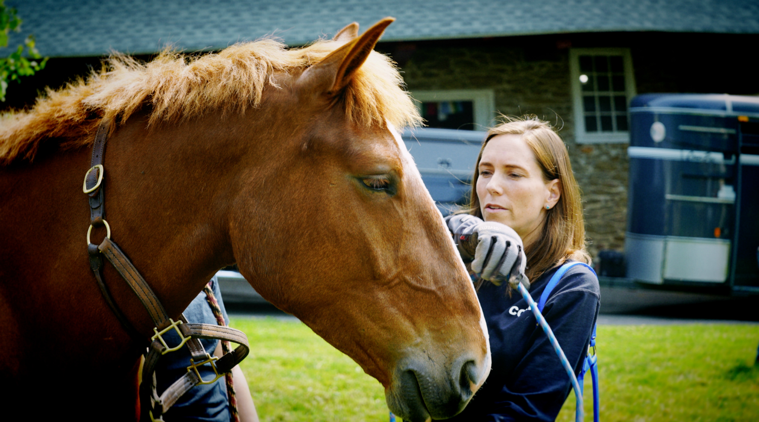 Pennsylvania Animal Response Team | Helping Animals in Crisis