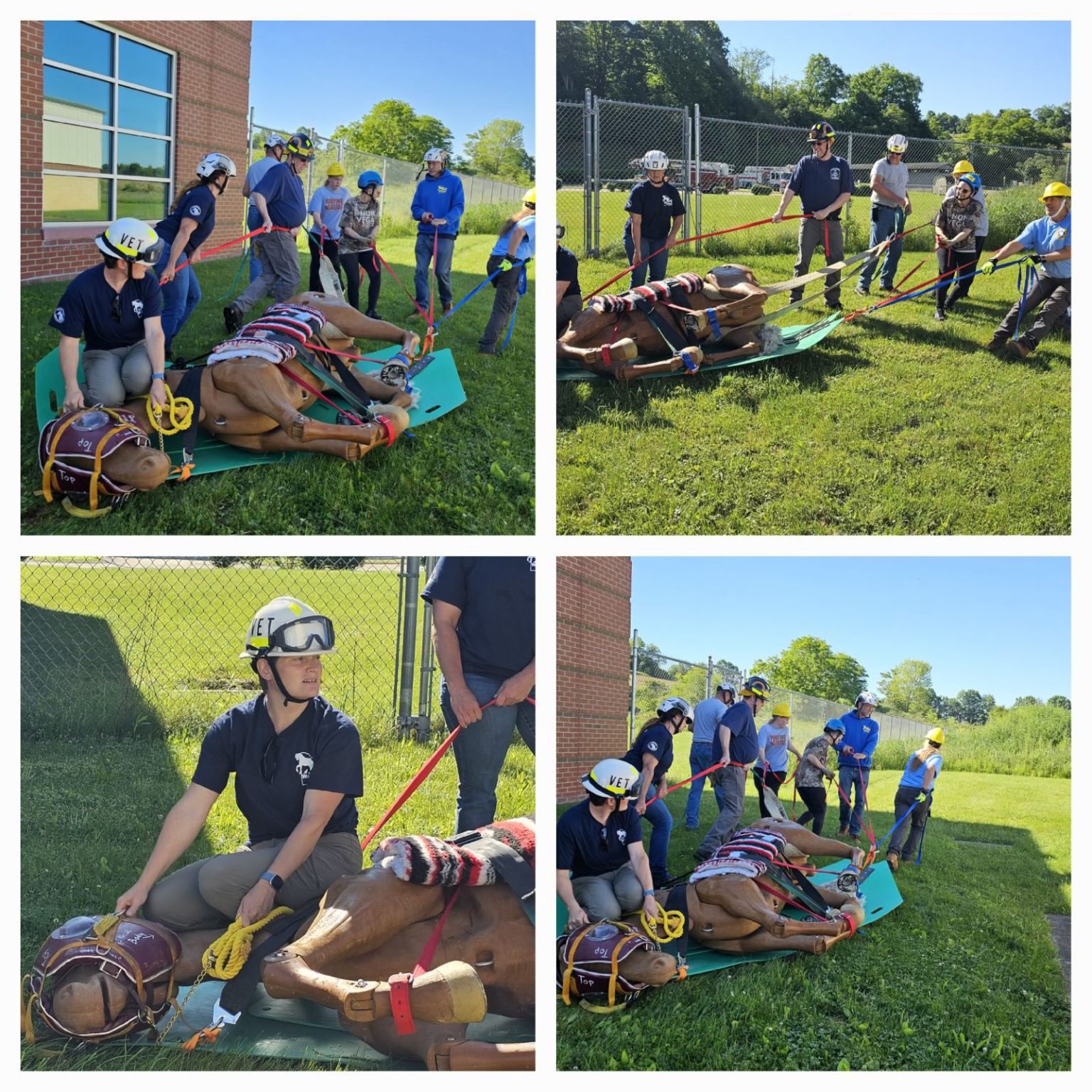 Training | Pennsylvania Animal Response Team